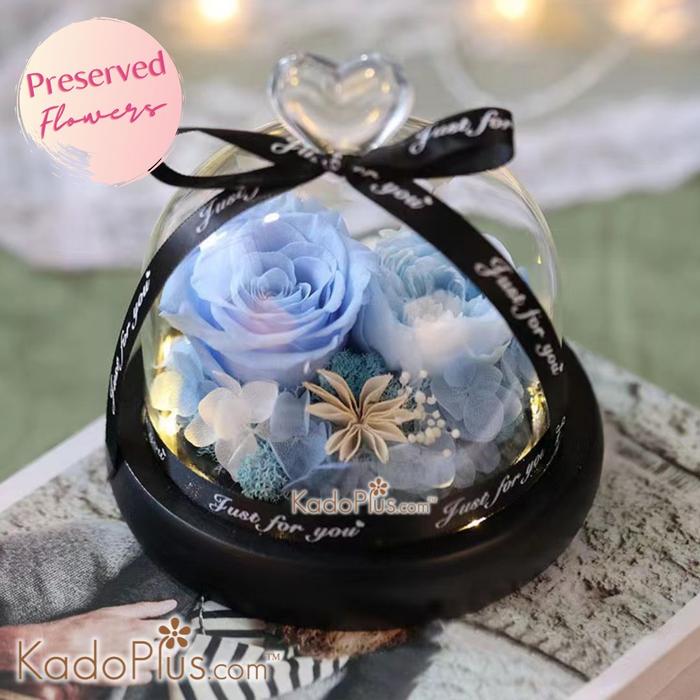 Jual Bunga Valentine Preserved Rose Dome Bunga Graduation - Blue ...