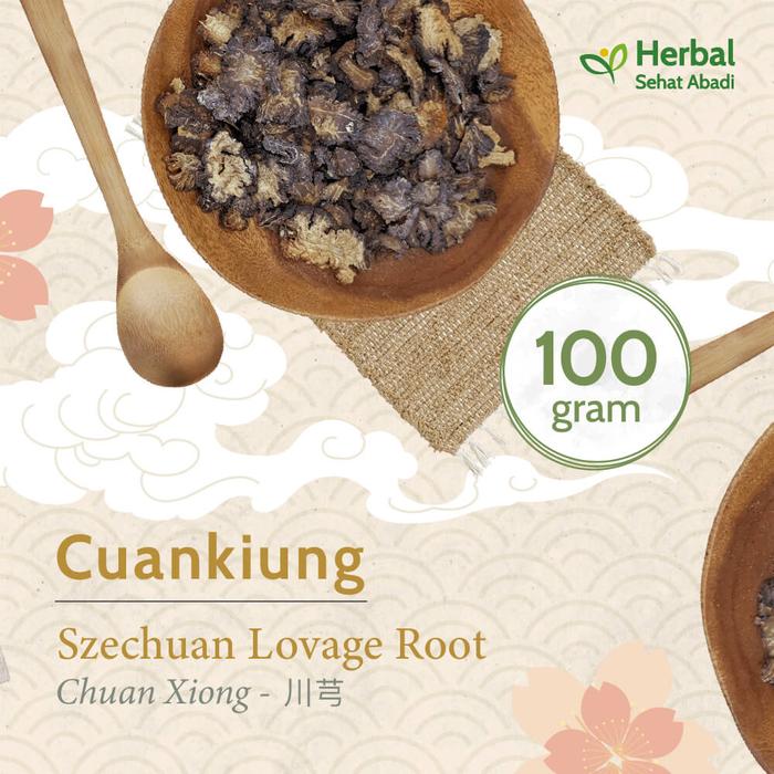 Jual Chuan Xiong (川芎) 100 gram / Chuan kiong / Sichuan Lovage Rhizome ...