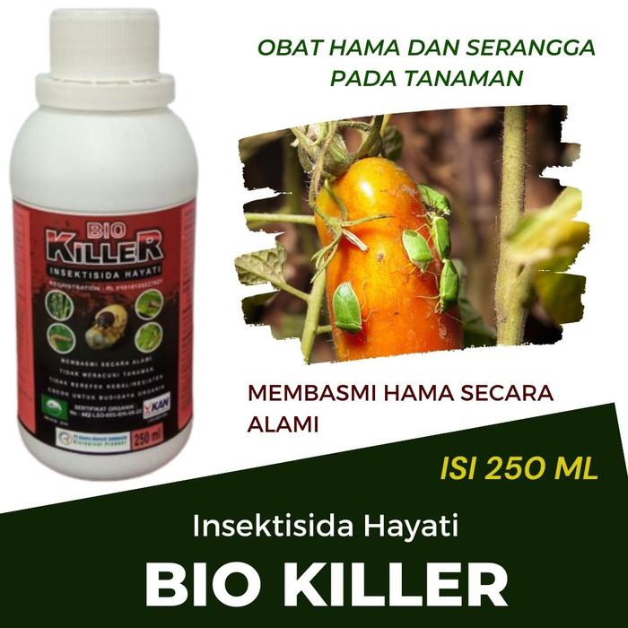 Jual Insektisida Untuk Cabe, Obat Ulat Bawang Merah Yang Ampuh, Bio ...