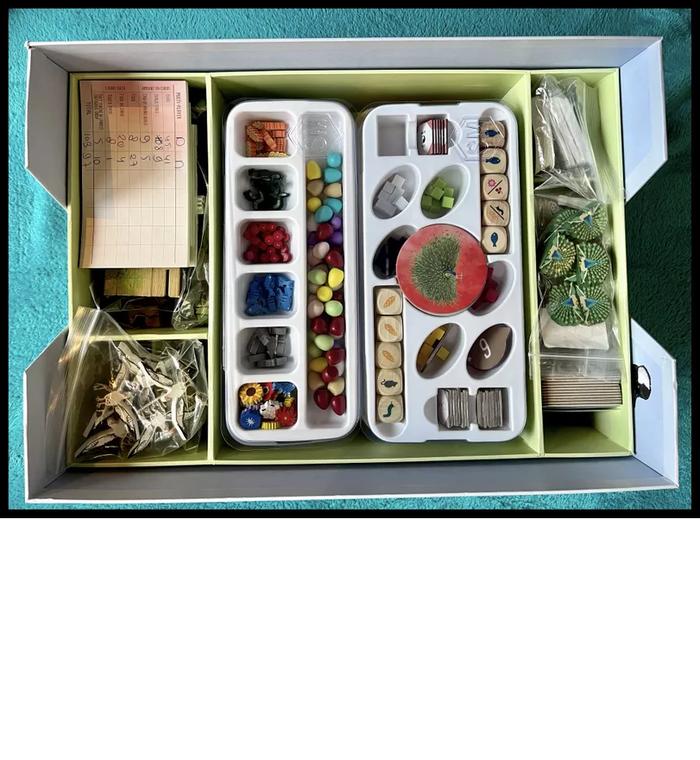 Jual Wingspan Nesting Box Board Game Di Seller Velvet Store ...