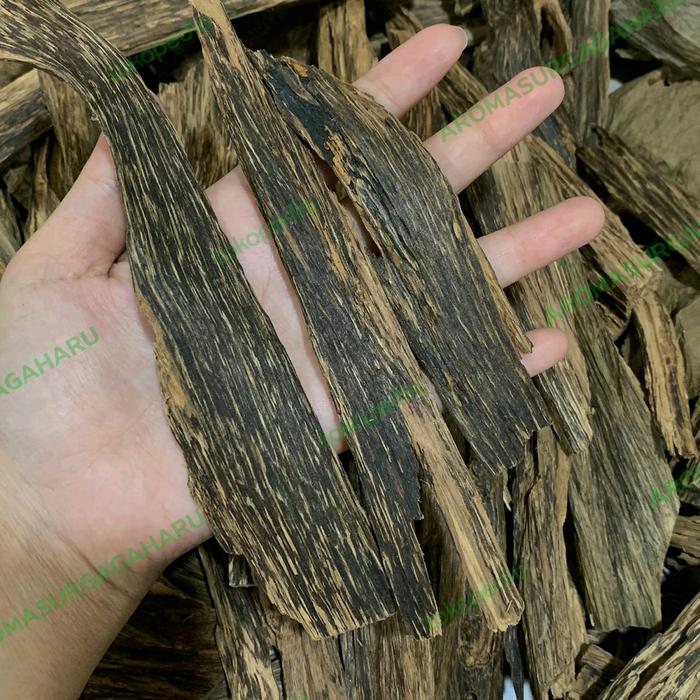 Jual Kayu Gaharu Malinau Super - Chip Gaharu - Oud Chunks - Chenxiang ...