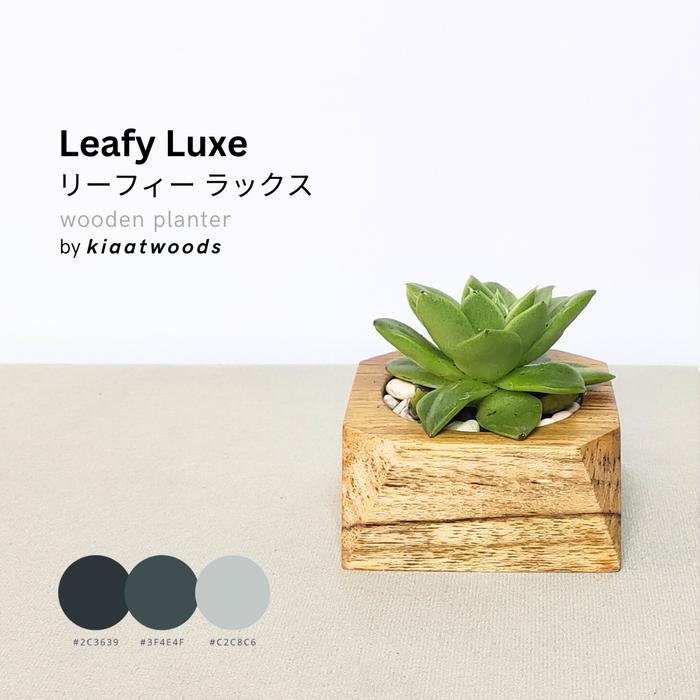 Jual Vas Pot Kayu Leafy Luxe dekorasi ruang meja tanaman sukulen (M) - Kab. Bojonegoro - Kiaat ...