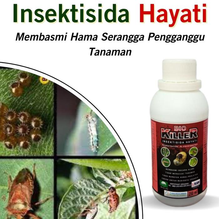 Jual Pestisida Insektisida Pembasmi Semut Merah Rangrang Kupu Kutu ...