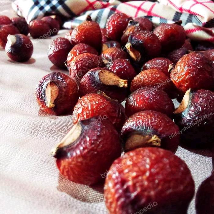 Jual buah lerak 1 kg - Kab. Situbondo - Hidayaherbalcoffee | Tokopedia