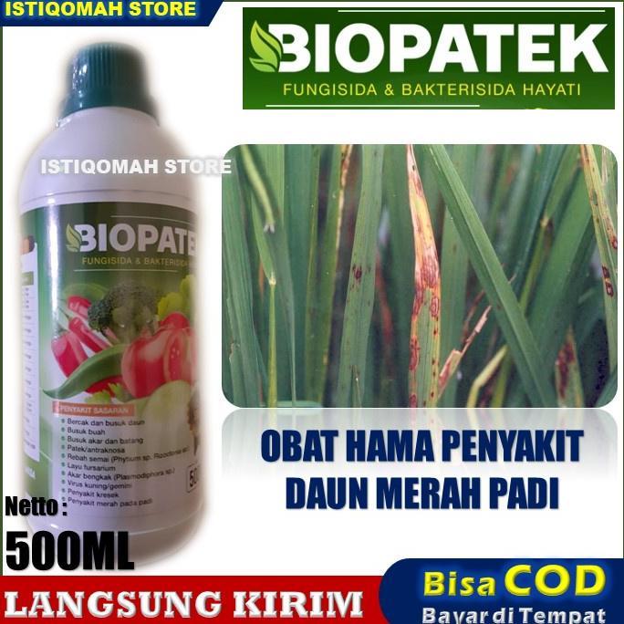 Jual BIOPATEK Fungisida & Bakterisida Hayati 500ml Insektisida ... Jual BIOPATEK Fungisida & Bakterisida Hayati 500ml Insektisida ...