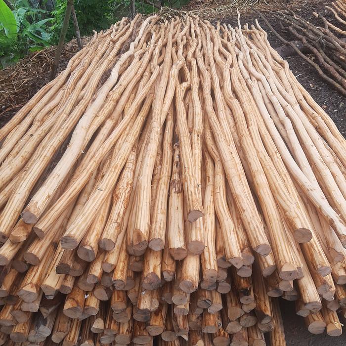 Jual dolken kayu puspa/kayu keras ukuran 3 dan 4 cm panjang 3,5 mater ...