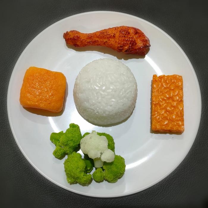 Jual Replika makanan/dummy menu gizi 4 sehat 5 sempurna (paket anak 2 ...