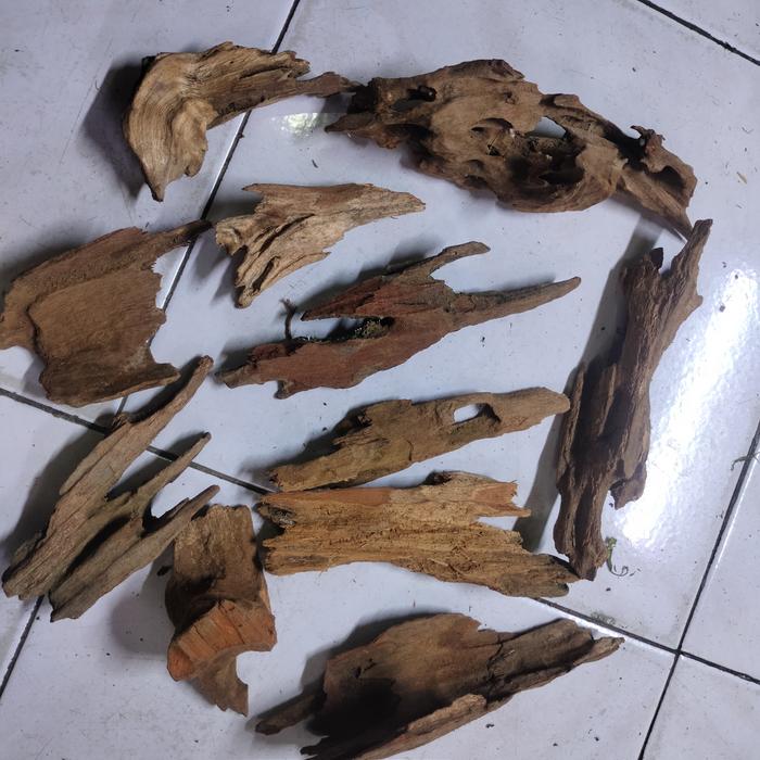 Jual kayu rentek aquascape aquarium patahan kayu rentek 5 sd 10 cm ...