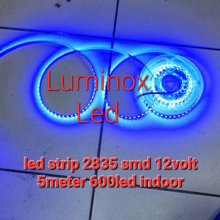 Jual strip light 2835 smd biru 120led 12v / led strip blue 5mtr 600led ...