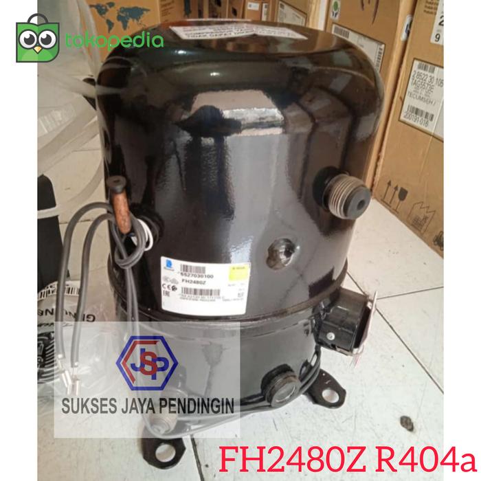Jual Compressor Tecumseh FH2480Z Valve / Kompresor Tecumseh FH2480Z ...