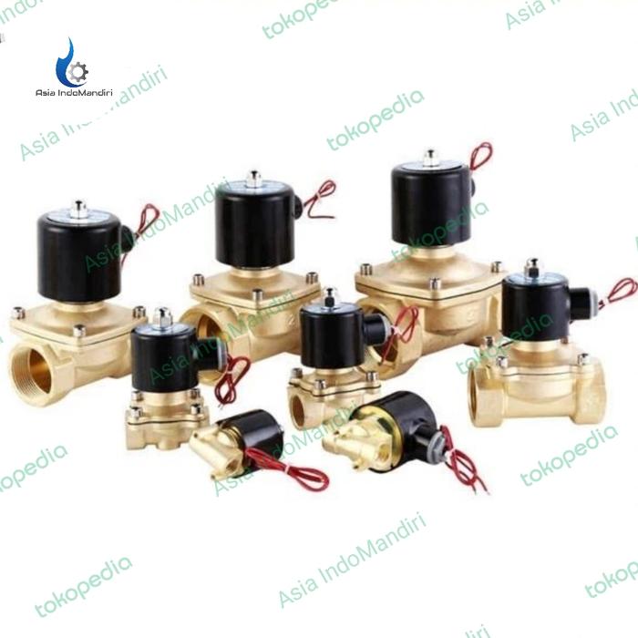 Jual Selenoid Valve Kuningan 1/2" inch AC 220V Normal Close Solenoid - Jakarta Barat - Asia ...