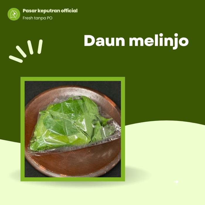 Jual Daun melinjo fresh, daun melinjo/daun so, daun melinjo segar ...
