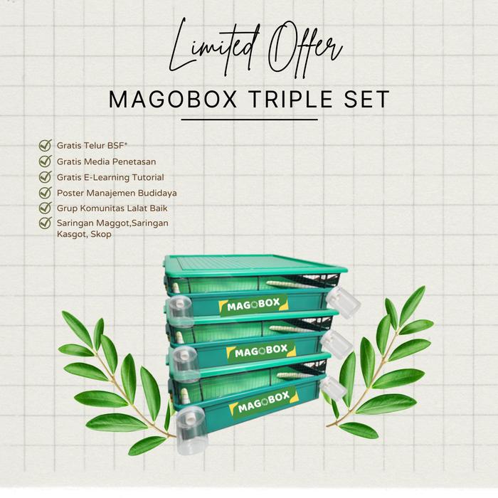 Promo Magobox Triple Set Paket Budidaya Magot Skala Rumah FREE ...