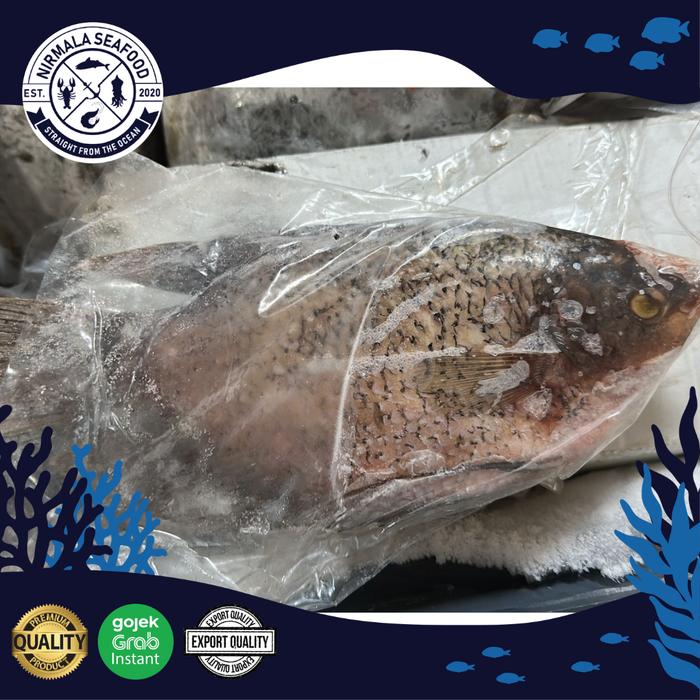 Jual Ikan Gurame Segar Bersih 1kg - Jakarta Barat - Nirmala Seafood ...
