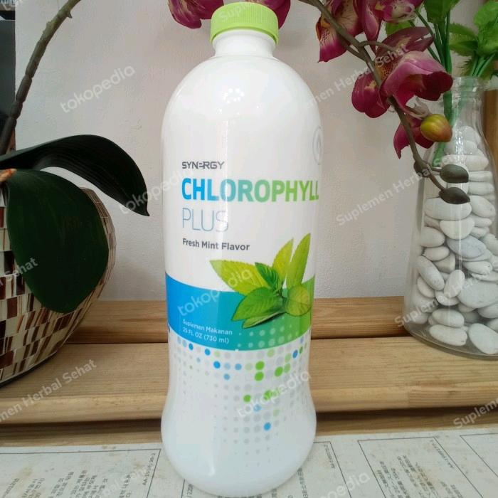 Jual Liquid Synergy Chlorophyll 730 ml - Jakarta Pusat - Suplemen ...