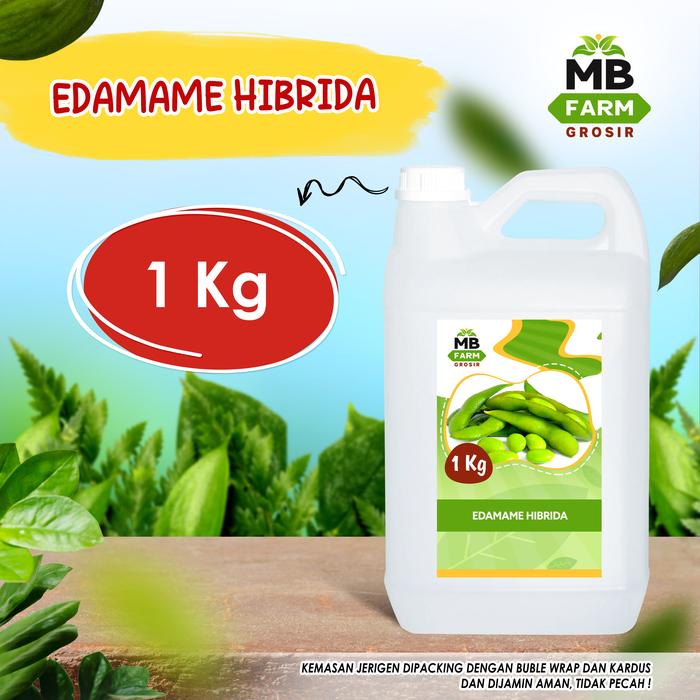 Jual 1 Kg Benih kedelai Edamame hibrida super/bibit kedelai jepang ...