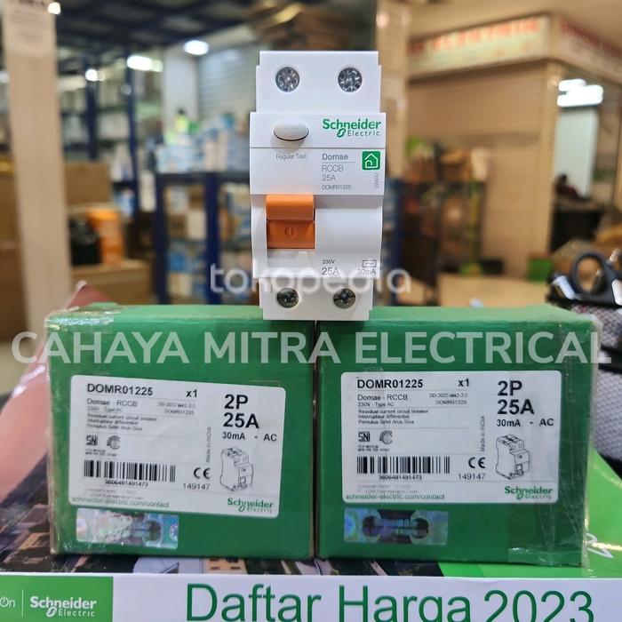 Jual ELCB / RCCB 2P 25A 30mA NEW GENERATION SCHNEIDER ASLI REF - DOMR01225 - Jakarta Pusat ...
