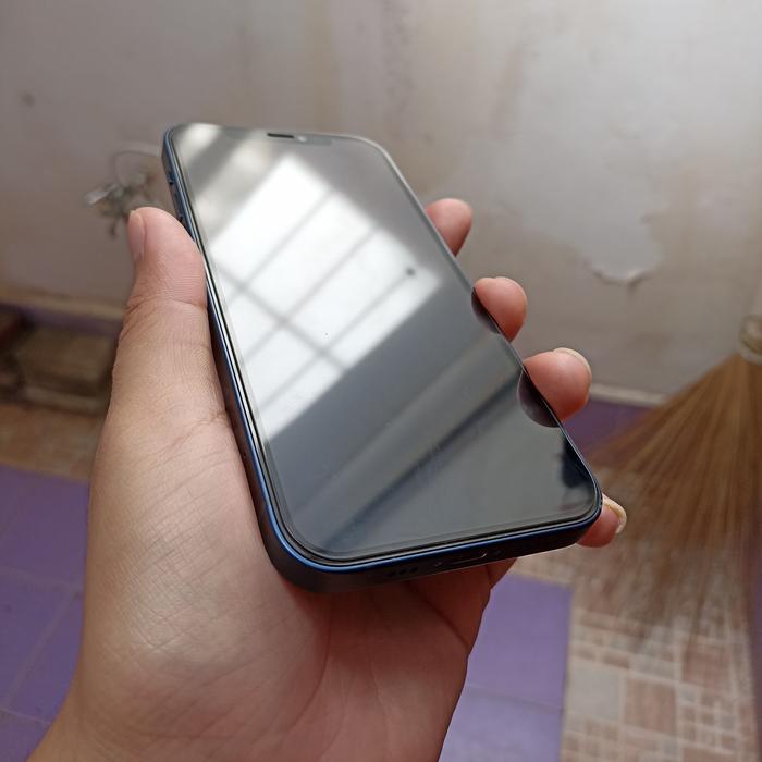Jual iphone 12 128gb ex ibox biru second 2nd blue not pro max 13 11 xr ...