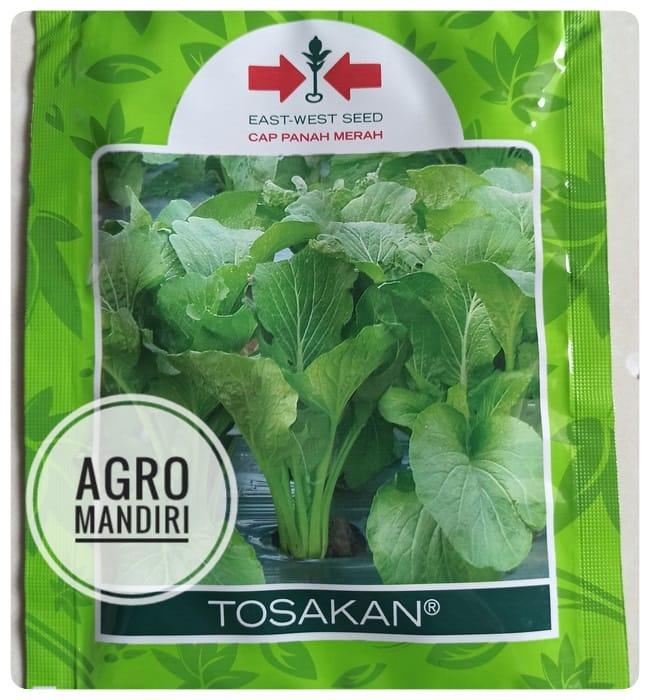 Jual Benih Bibit Sawi Manis Caisim Tosakan 25 gram Cap Panah Merah ...
