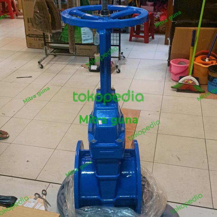 Jual Gate Valve Resilent 10" DN250 Jis10k Cast Iron - Jakarta Barat ...