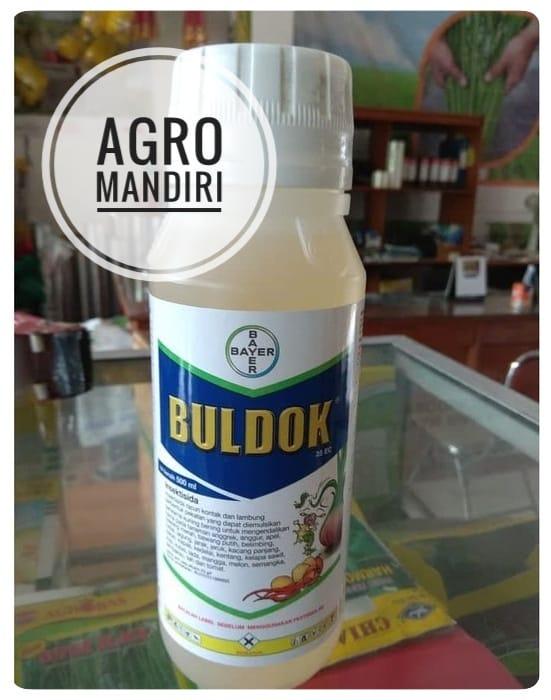 Jual Buldok 25EC 500 ml Insektisida Obat Basmi Hama Kutu dan Ulat ...