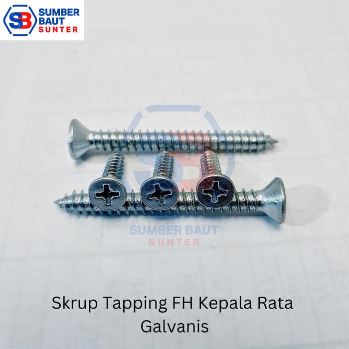 Jual FH 6x3/4 Tapping Screw isi 100 - Skrup Kepala Rata 6 x 3/4 ...
