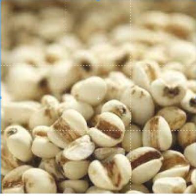 Jual HANJELI BIJI JALI JALI ANJELI JELAI PEARL BARLEY NATURAL MAKANAN ...