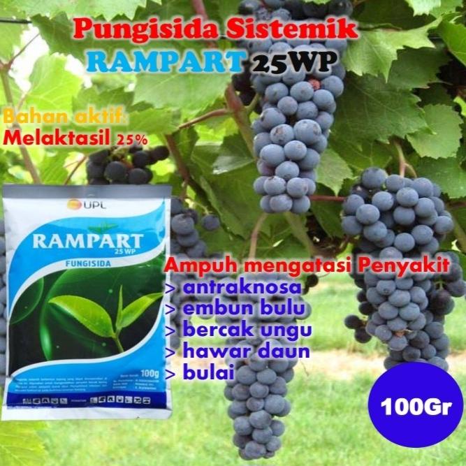 Jual PUNGISIDA RAMPART 25WP - 100 GRAM - Kota Bekasi - Swatantra Garden ...