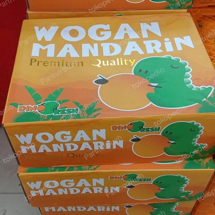 Jual Jeruk Wokam Mandarin 5 Kg | jeruk Wogan Premium Quality - Jakarta ...