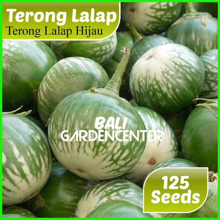 Jual Benih Biji Terong Lalap Hijau - Terong Lalap Hijau Unggul - Kab ...