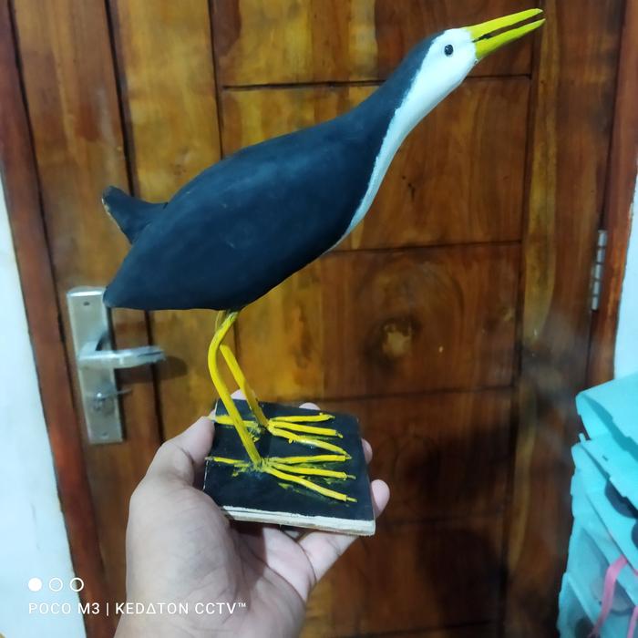 Jual Jontrot ruak2 - Kab. Lampung Selatan - -Sikumbang- | Tokopedia