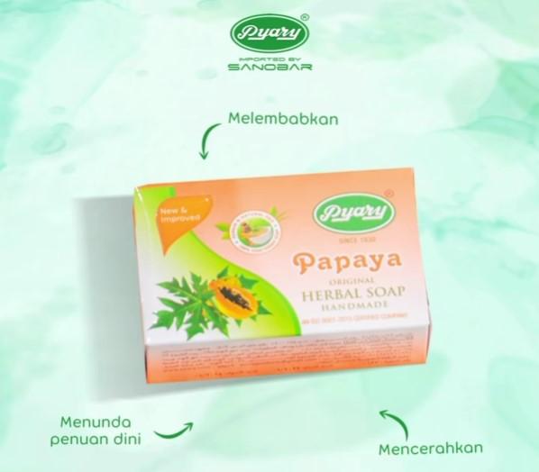 Promo Sabun Nalpamara - Turmeric- Papaya Original Pyary BPOM - Papaya ...
