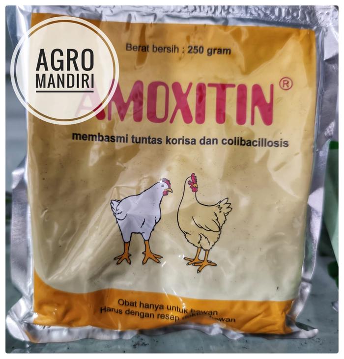 Jual Medion Amoxitin 250 Gram Obat Antibiotik Ayam Pilek Ngorok Diare ...