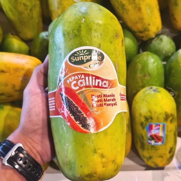 Jual Pepaya Calina Sunpride Manis Daging Orange / Pcs - Jakarta Barat ...