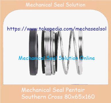 Jual Mechanical Seal Pentair Southern Cross 80x65-160 - Jakarta Barat - Mechanical Seal Solution ...