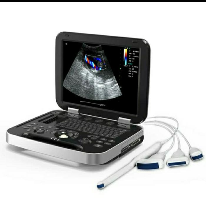 Jual Mindray Z5 (New) Color USG 2 Connector with Convex and TV probe ...