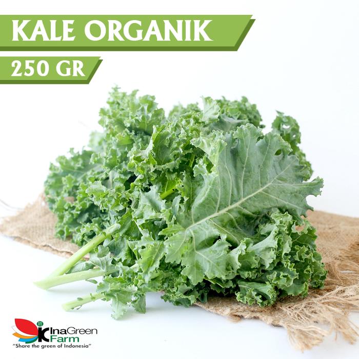 Jual Sayur Kale Organik Inagreen 250 Gram Bandung - Kota Bandung ...