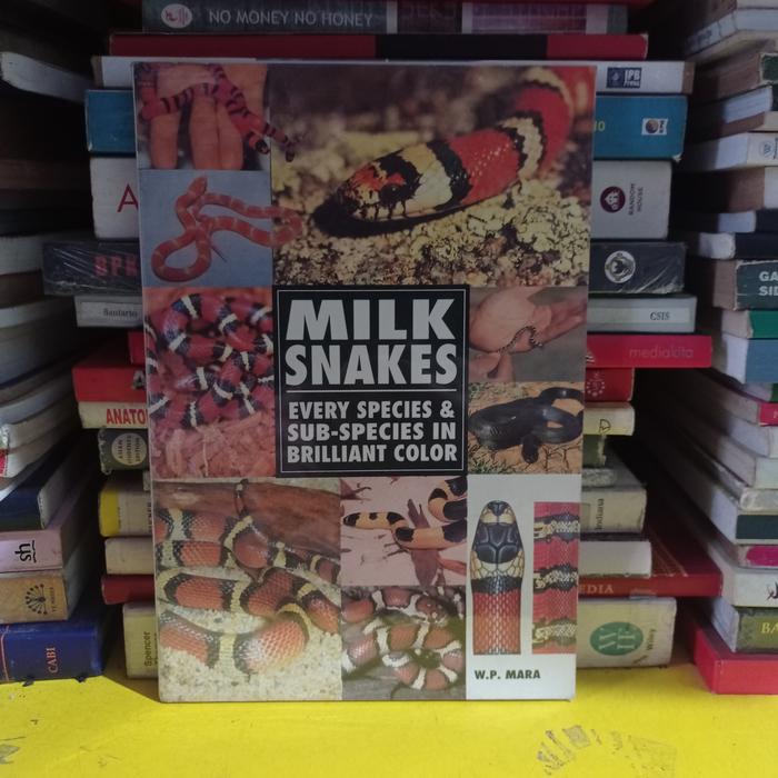 Jual MILK SNAKES - EVERY SPECIES & SUB-SPECIES IN BRILIANT COLOR -W.P ...