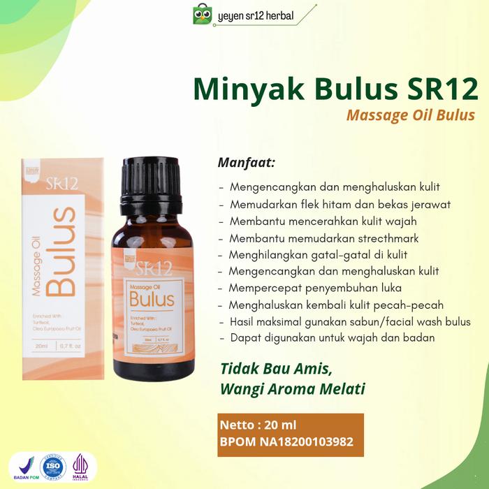 Jual MINYAK BULUS SR12 / MINYAK BULUS ORIGINAL / BULUS BPOM ...