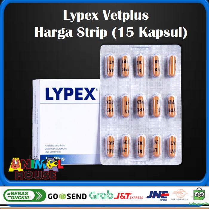 Jual Lypex Vet Plus Kapsul Enzim Anti Diare Kucing Anjing Pankreas - 1 ...