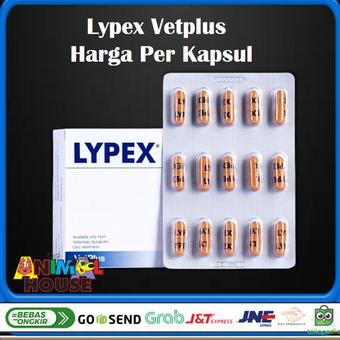 Jual Lypex Vet Plus Kapsul Enzim Anti Diare Kucing Anjing Pankreas - 1 ...