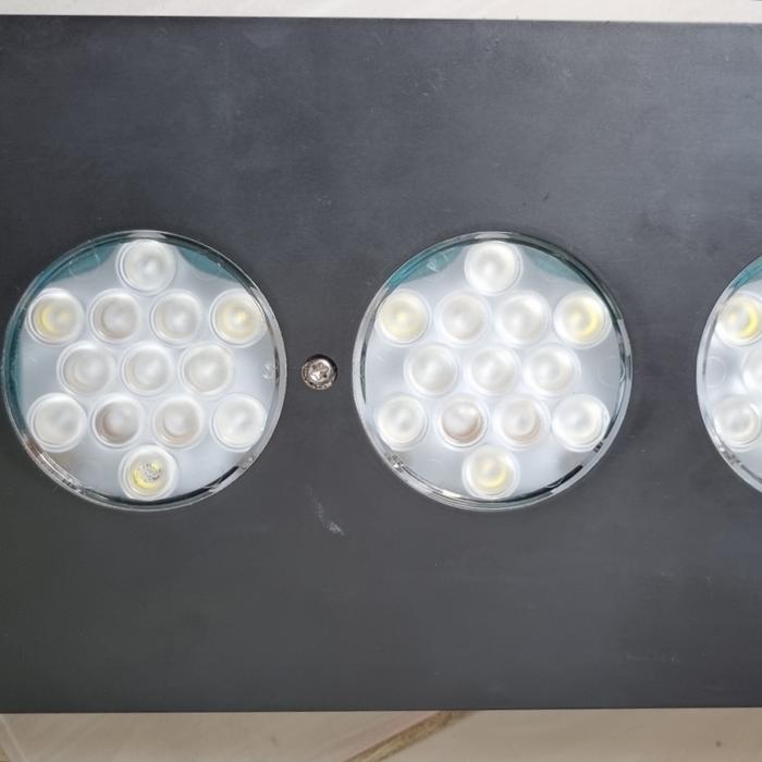 Jual Ai Hydra 52 HD - Kota Tangerang - Boston Reef | Tokopedia