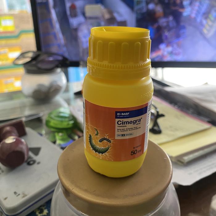 Jual Insektisida Cimegra 100SC BASF Broflanilida sejenis Brofreya 50ml ...