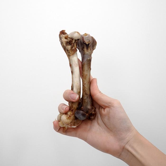 Jual Dehydrated Goat Marrow Dog Snack by GOOD COMPANION 100% Goat Bone ...