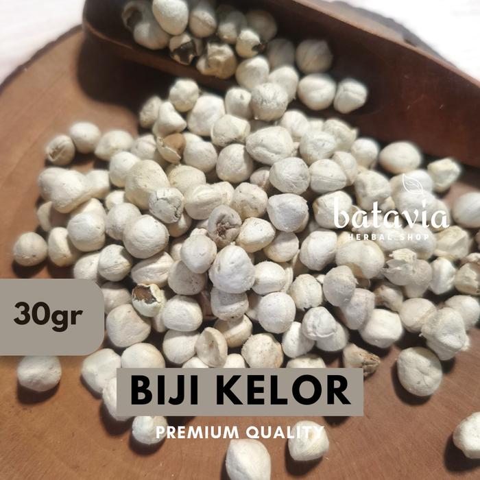 Jual Biji Kelor Kupas Moringa Seeds Kernel Kelor Premium Herbs Time ...