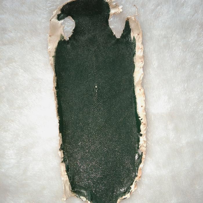 Jual Kulit Lembaran Asli Ikan Pari Batu Besar Hijau Tua Gradasi - Kab ...