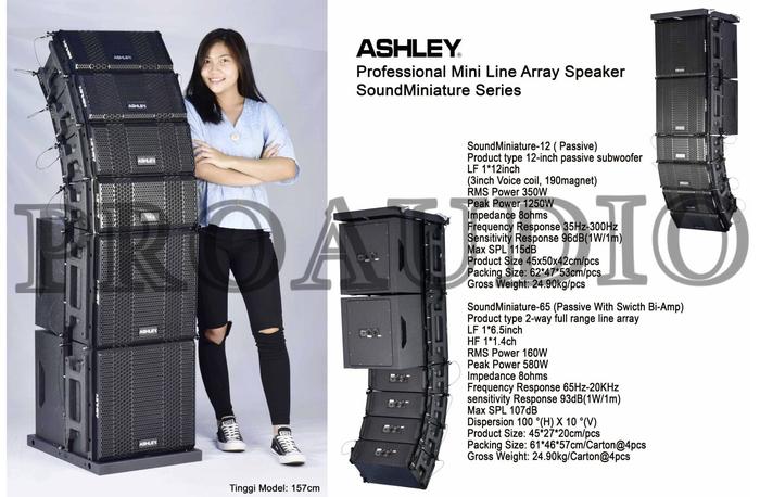 Jual SPEAKER LINE ARRAY SOUNDMINIATURE 12 65 SERIES PASIF PASSIVE ...