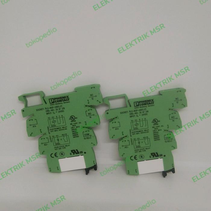 Jual RELAY BASE PLC-BSP-24DC/21 PHOENIX CONTACT PLC-24DC/21 - Jakarta ...