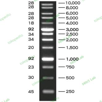 Jual 1 Kb DNA Ladder - Kab. Bogor - Mitr3 Lab | Tokopedia