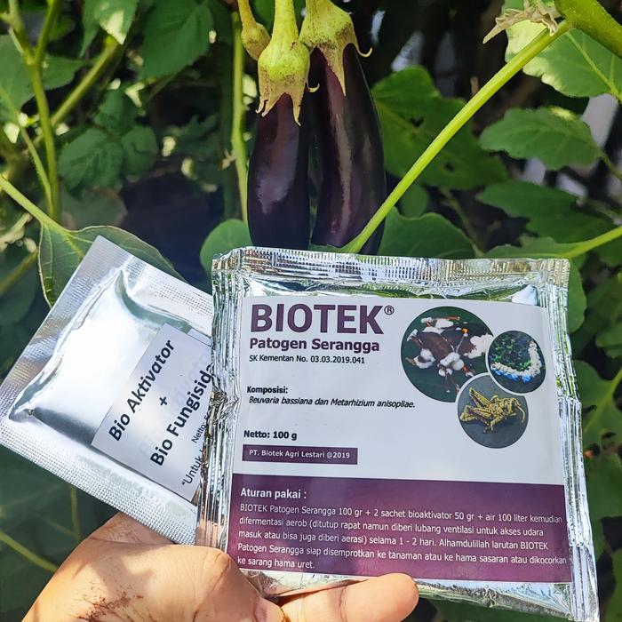 Jual pestisida dan insektisida organik / biopestisida bioinsektisida ...